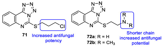 New Antifungal Agents with Azole Moieties