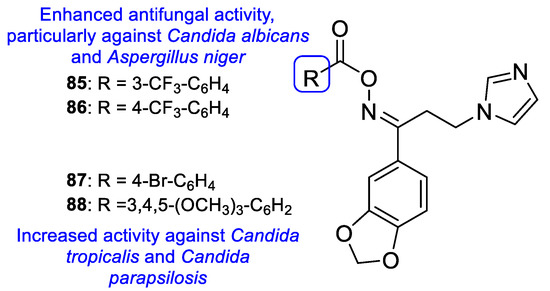 New Antifungal Agents with Azole Moieties