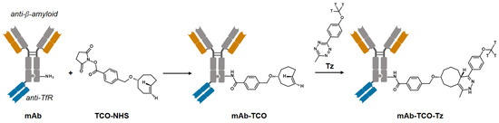 Antibody-Based In Vivo Imaging of Central Nervous System Targets ...