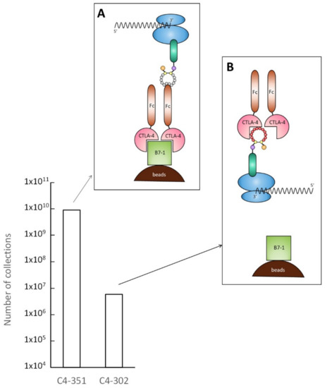 Rational Strategy for Designing Peptidomimetic Small Molecules Based on ...