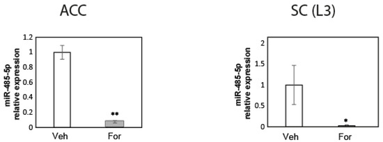 Segmental Upregulation of ASIC1 Channels in the Formalin Acute Pain ...