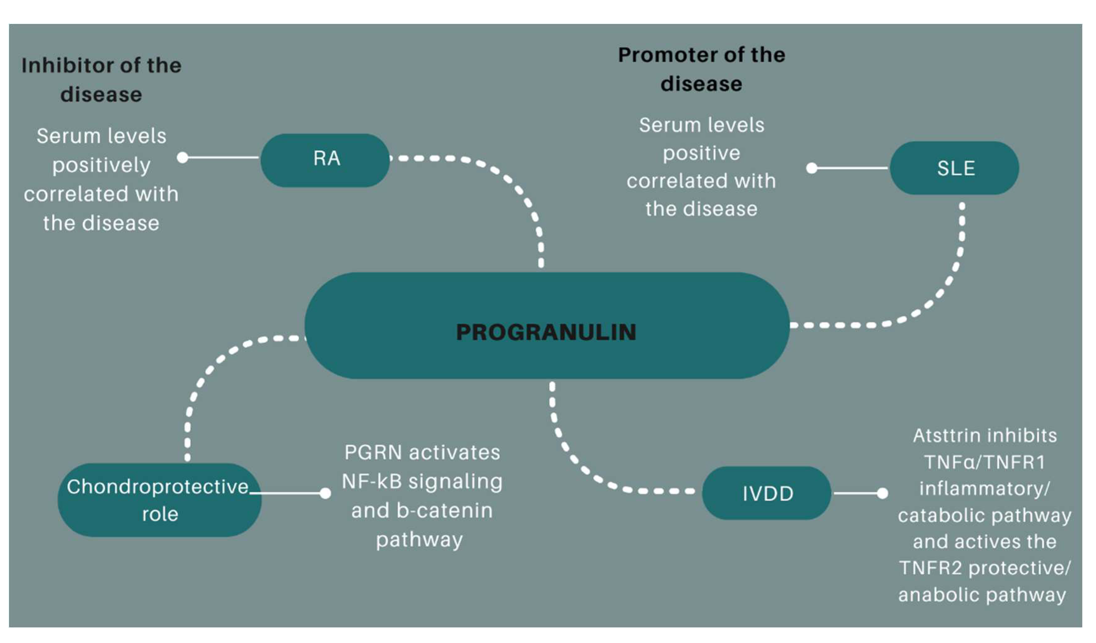 Progranulin in Musculoskeletal Inflammatory and Degenerative Disorders ...