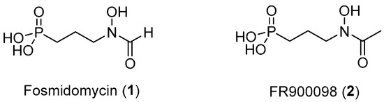 Over 40 Years of Fosmidomycin Drug Research: A Comprehensive Review and ...