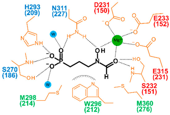 Over 40 Years of Fosmidomycin Drug Research: A Comprehensive Review and ...