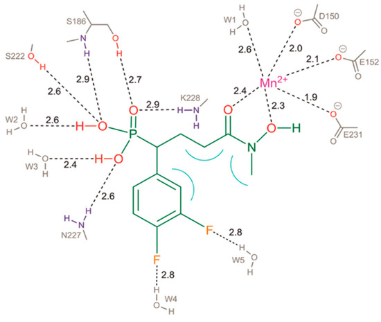 Over 40 Years of Fosmidomycin Drug Research: A Comprehensive Review and ...
