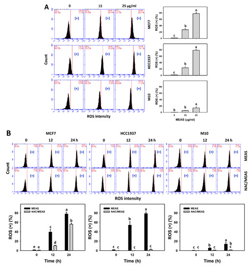 Marine Sponge Aaptos suberitoides Extract Improves Antiproliferation ...