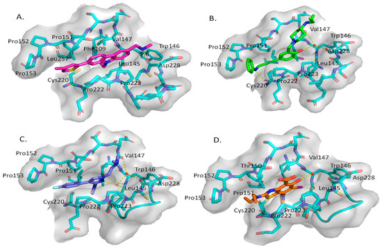Therapeutic Strategies to Activate p53