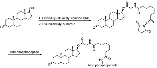 Protein-Targeted Degradation Agents Based on Natural Products