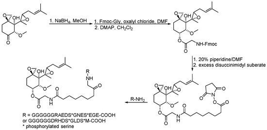 Protein-Targeted Degradation Agents Based on Natural Products