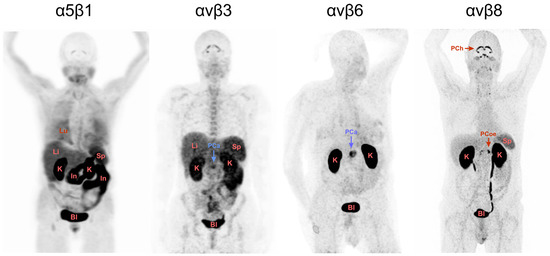 RGD Forever!—Past, Present, and Future of a 3-Letter-Code in ...