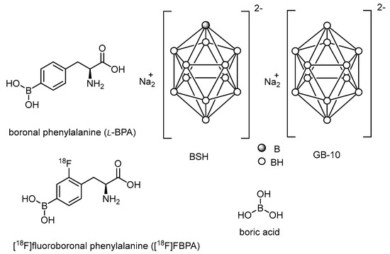 Recent Development of Radiofluorination of Boron Agents for Boron ...