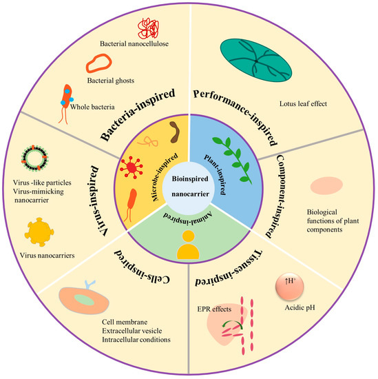 Research Progress of Bioinspired Nanostructured Systems for the ...
