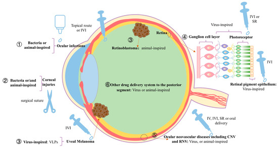 Research Progress of Bioinspired Nanostructured Systems for the ...