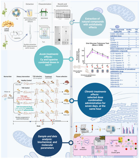 Pharmaceuticals | Free Full-Text | Combined Gamma Conglutin and ...