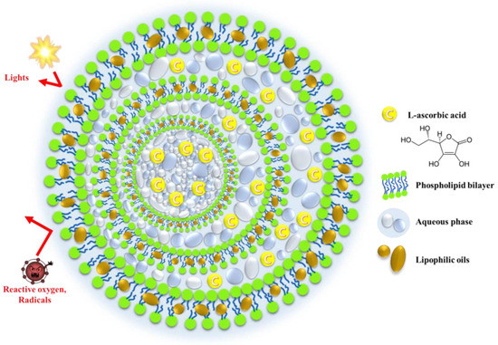 Design of Novel Tricaprylin-Incorporated Multi-Layered Liposomal System ...