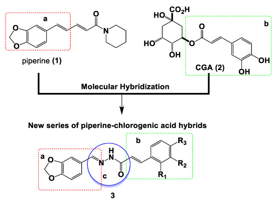 Piperine–Chlorogenic Acid Hybrid Inhibits the Proliferation of the SK ...