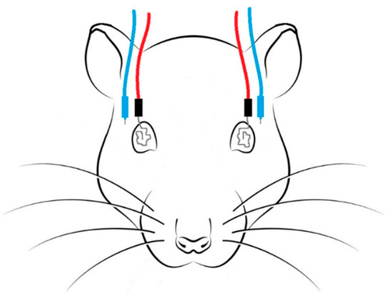 Pharmaceuticals | Free Full-Text | Topical Administration of a ...