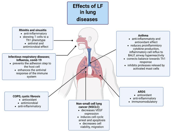Potential of Lactoferrin in the Treatment of Lung Diseases