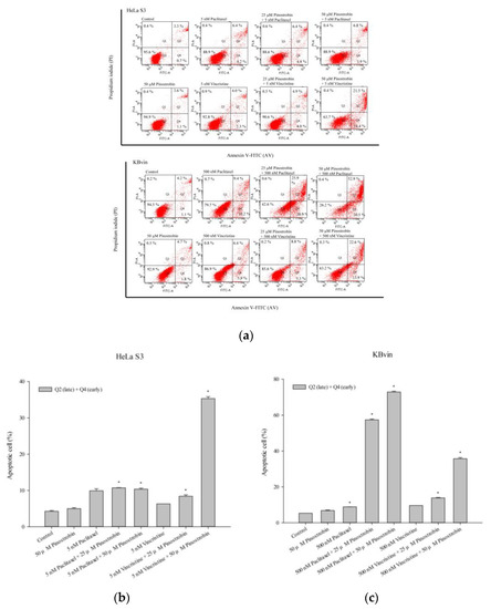 Pinostrobin and Tectochrysin Conquer Multidrug-Resistant Cancer Cells ...