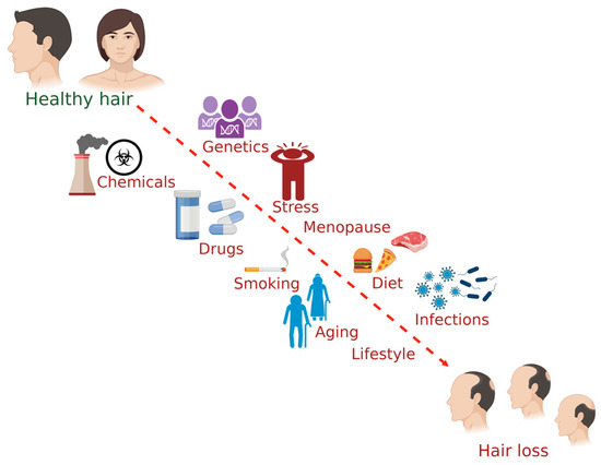 Role and Mechanisms of Phytochemicals in Hair Growth and Health