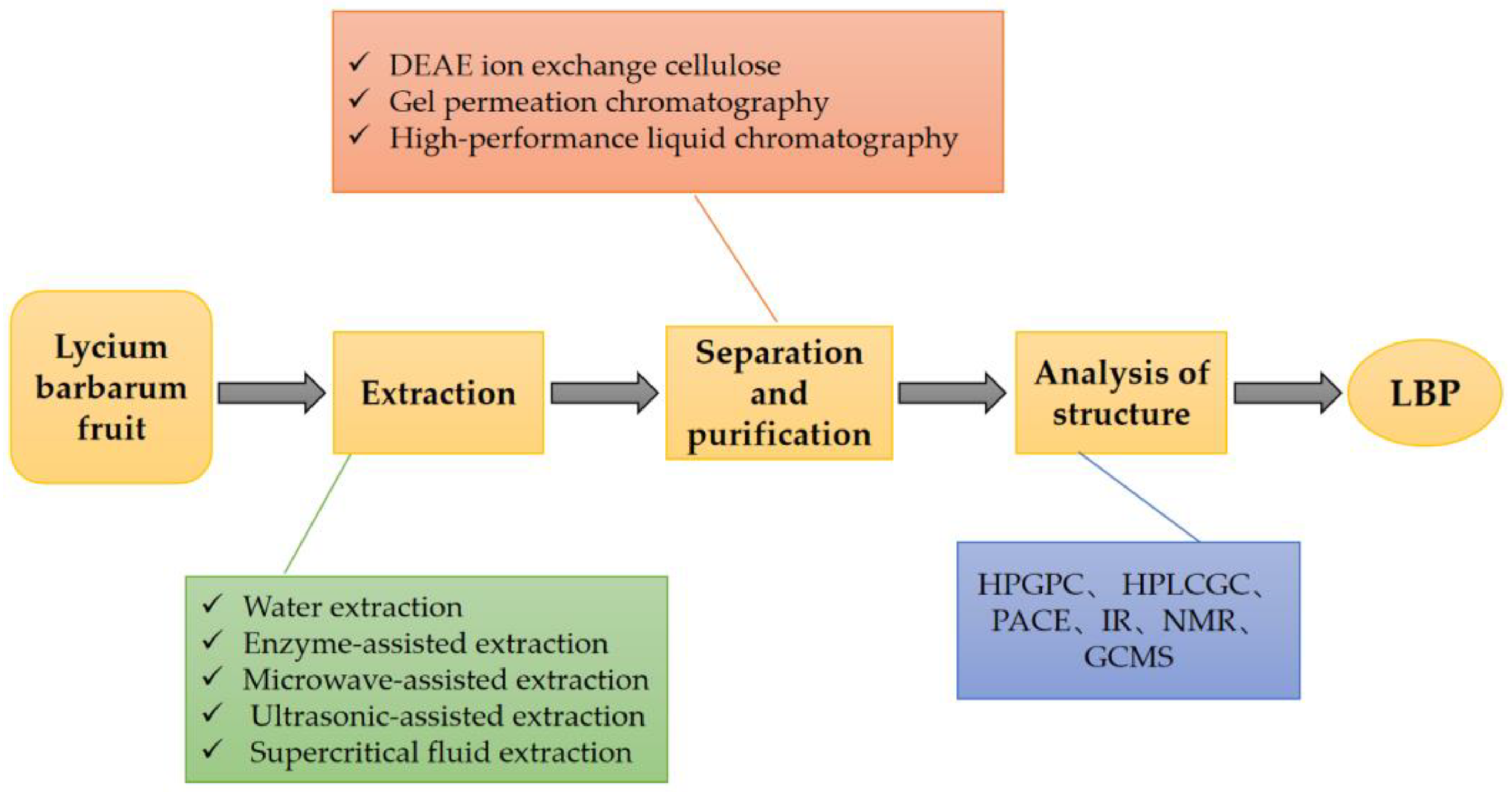 Distinct Role of Lycium barbarum L. Polysaccharides in Oxidative Stress ...