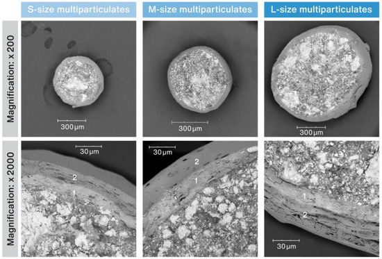 The Use of Calcium Phosphate-Based Starter Pellets for the Preparation ...