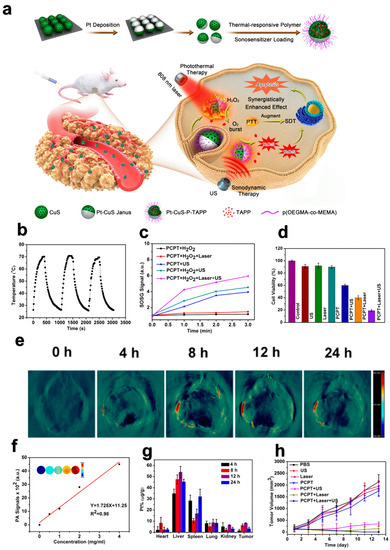 Smart Biomimetic Nanozymes for Precise Molecular Imaging: Application and Challenges