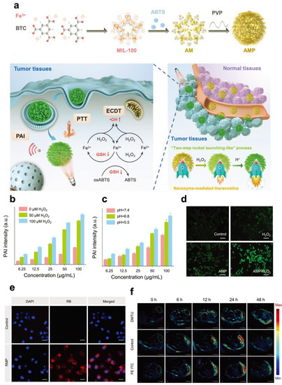 Smart Biomimetic Nanozymes for Precise Molecular Imaging: Application and Challenges