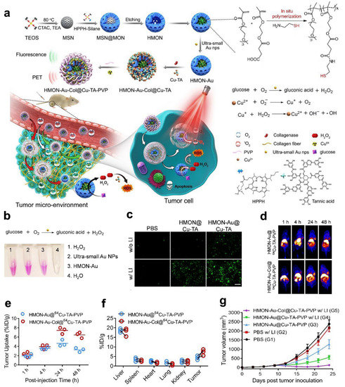 Smart Biomimetic Nanozymes for Precise Molecular Imaging: Application and Challenges