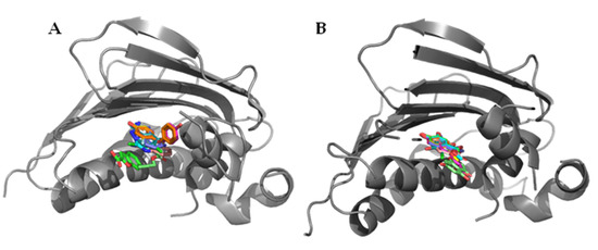 Developments in Non-Intercalating Bacterial Topoisomerase Inhibitors ...