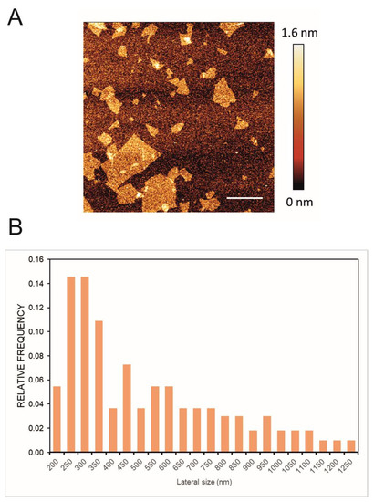 Curcumin-Functionalized Graphene Oxide Strongly Prevents Candida ...