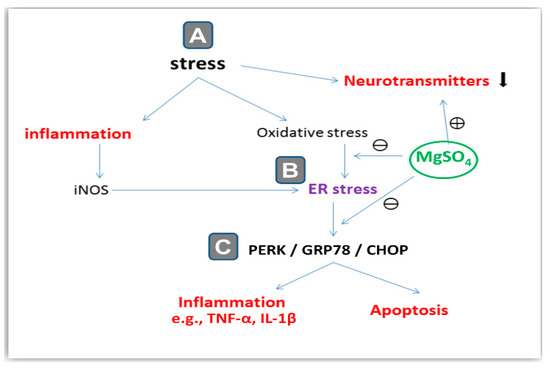 Targeting the Endoplasmic Reticulum Stress-Linked PERK/GRP78/CHOP ...
