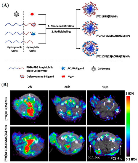 PSMA-Targeted Nanotheranostics for Imaging and Radiotherapy of Prostate ...