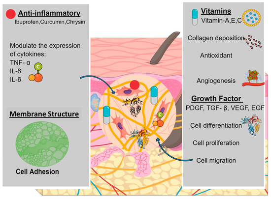 Biodegradable Electrospun Scaffolds as an Emerging Tool for Skin Wound ...