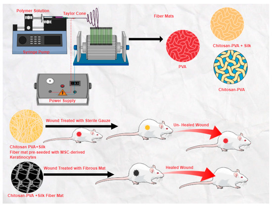 Pharmaceuticals | Free Full-Text | Biodegradable Electrospun Scaffolds as an Emerging Tool for ...