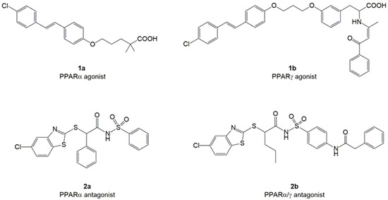 Anti-Inflammatory, Antioxidant, and WAT/BAT-Conversion Stimulation ...
