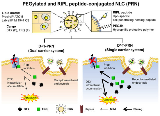 Functionalized Lipid Nanocarriers for Simultaneous Delivery of ...