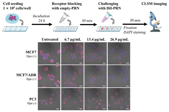 Functionalized Lipid Nanocarriers for Simultaneous Delivery of ...