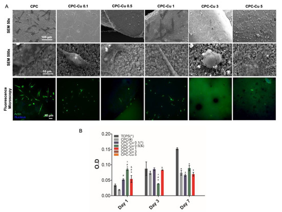 Multifunctional Three-Dimensional Printed Copper Loaded Calcium ...