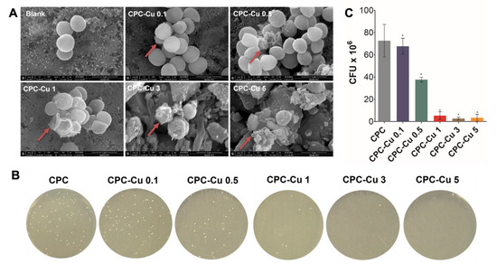 Multifunctional Three-Dimensional Printed Copper Loaded Calcium ...