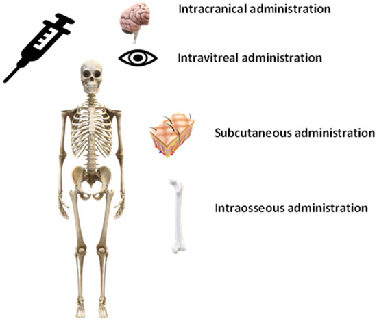 Encapsulation: A Strategy to Deliver Therapeutics and Bioactive Compounds?