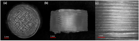 Personalised 3D-Printed Mucoadhesive Gastroretentive Hydrophilic ...