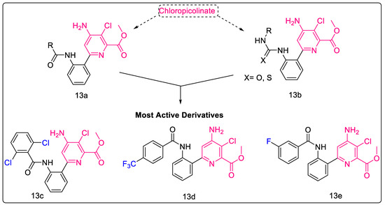 Anti-Tuberculosis Mur Inhibitors: Structural Insights and the Way Ahead ...