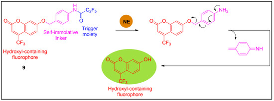 Fluorescent Probes as a Tool in Diagnostic and Drug Delivery Systems