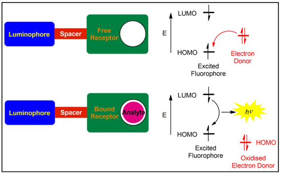 Fluorescent Probes as a Tool in Diagnostic and Drug Delivery Systems