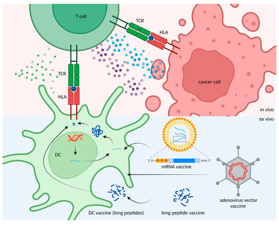 Current Trends in Neoantigen-Based Cancer Vaccines