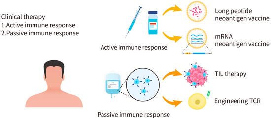 Current Trends in Neoantigen-Based Cancer Vaccines