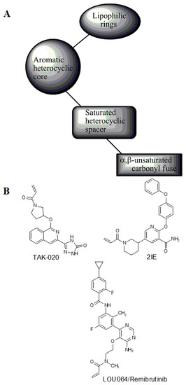 Structural Complementarity of Bruton’s Tyrosine Kinase and Its ...