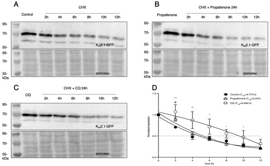 Chronic Propafenone Application Increases Functional KIR2.1 Expression ...