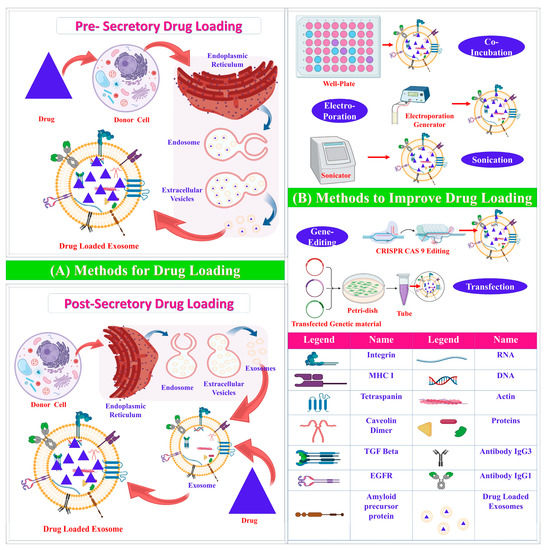 Endogenous Lipid Carriers—Bench-to-Bedside Roadblocks in Production and ...